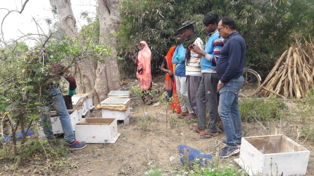 Aroh Foundation - Top NGO for CSR in India